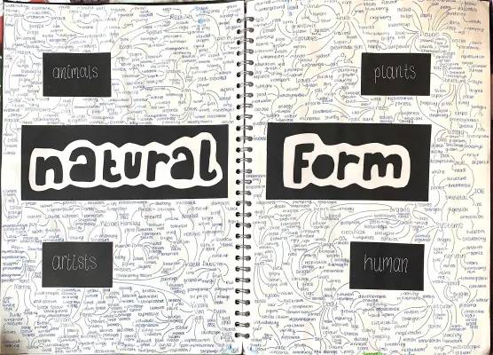 Easy GCSE Art: Natural Forms, Mind Maps, and Themes 2024 (Art & Design ...