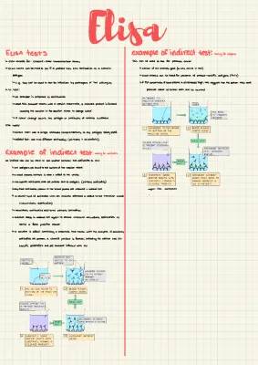 AQA A-Level Biology: ELISA Test Revision Notes - Free PDF Download ...