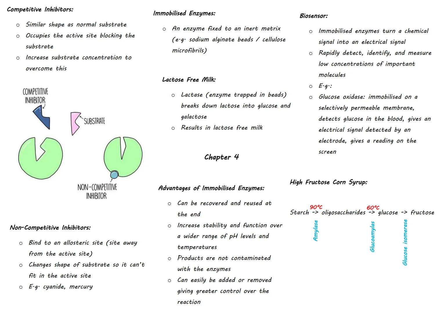 WJEC Biology A Level: Study Guides, Knowledge Organisers, and Past ...