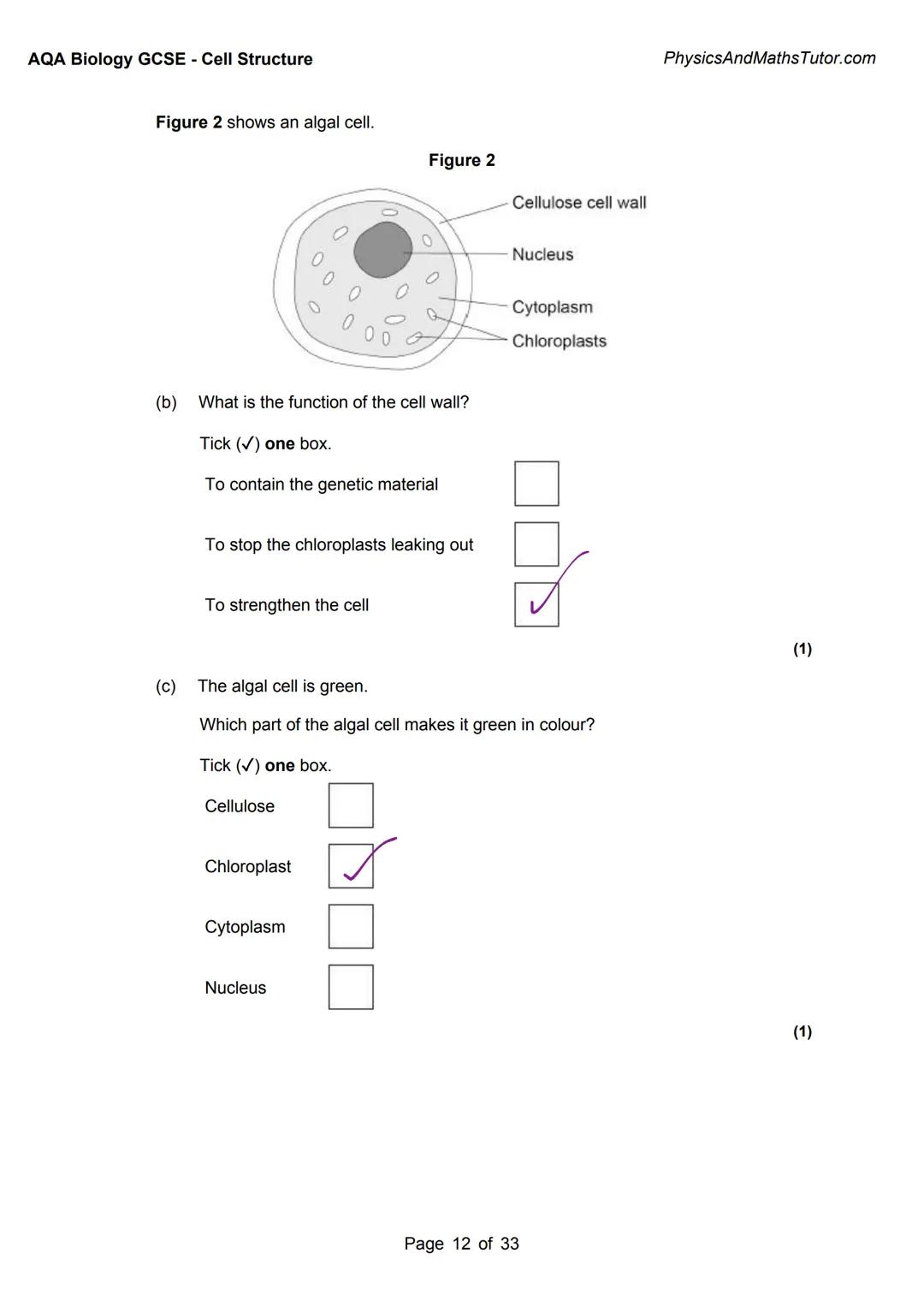 Cell Structure: Exam Questions + Answered (Biology) as PDF - Knowunity