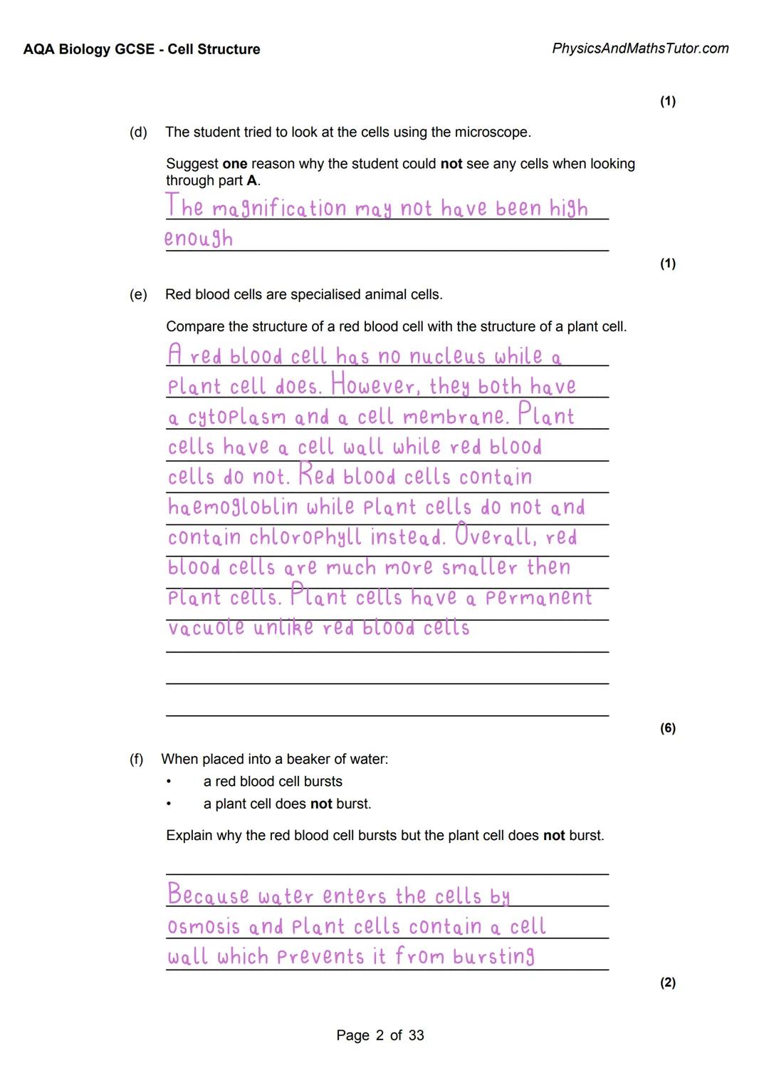 Cell Structure: Exam Questions + Answered (Biology) as PDF - Knowunity