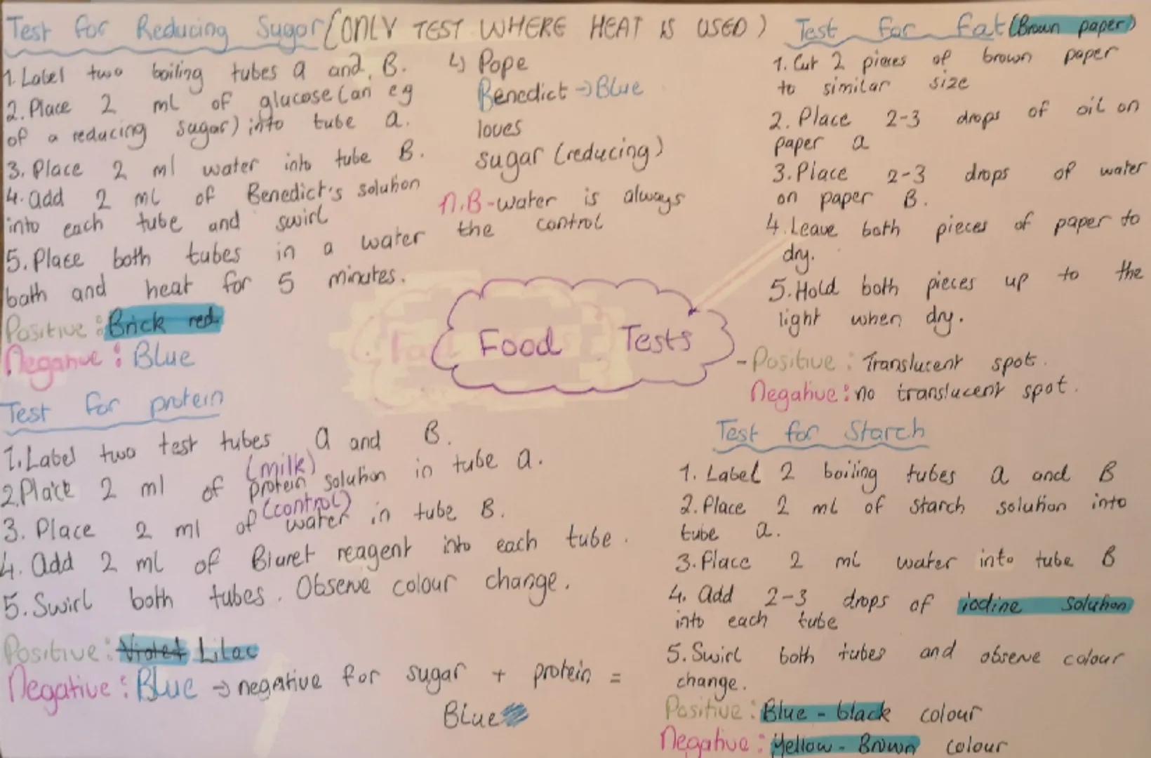 Comprehensive Guide to Biology Food Tests (Biology) as PDF - Knowunity