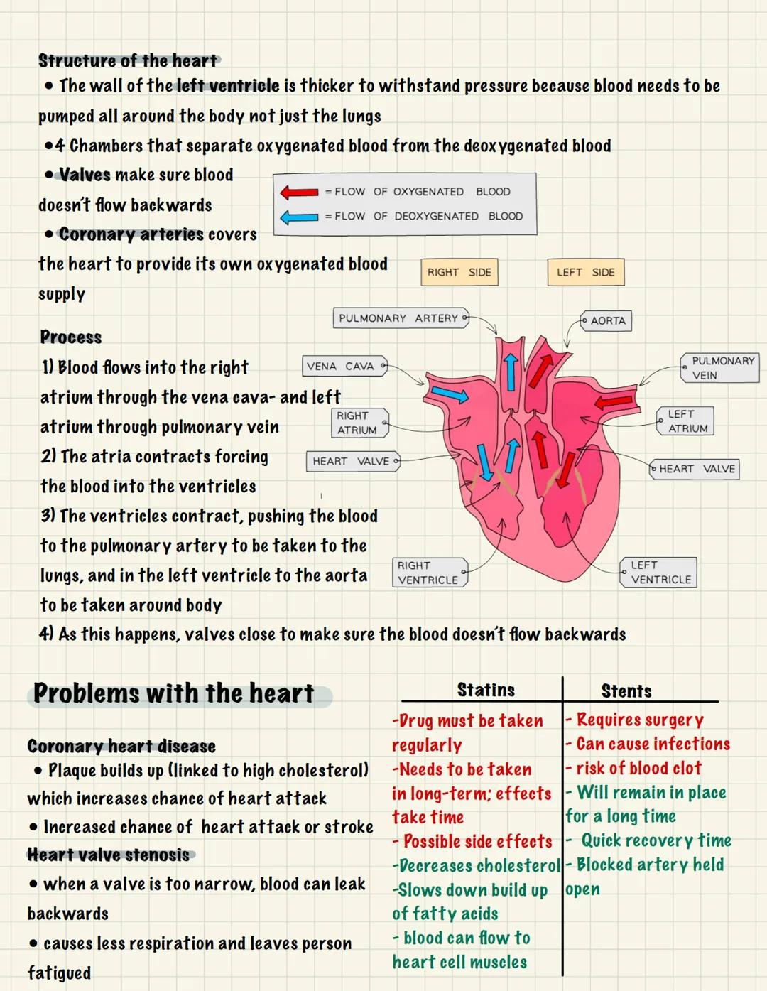 Biology Unit 1 Summary Notes (Biology) - Knowunity