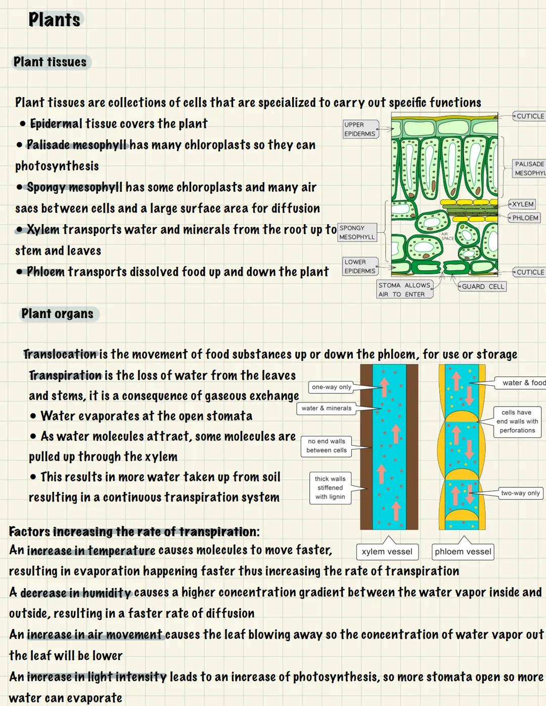 Biology Unit 1 Summary Notes (Biology) - Knowunity