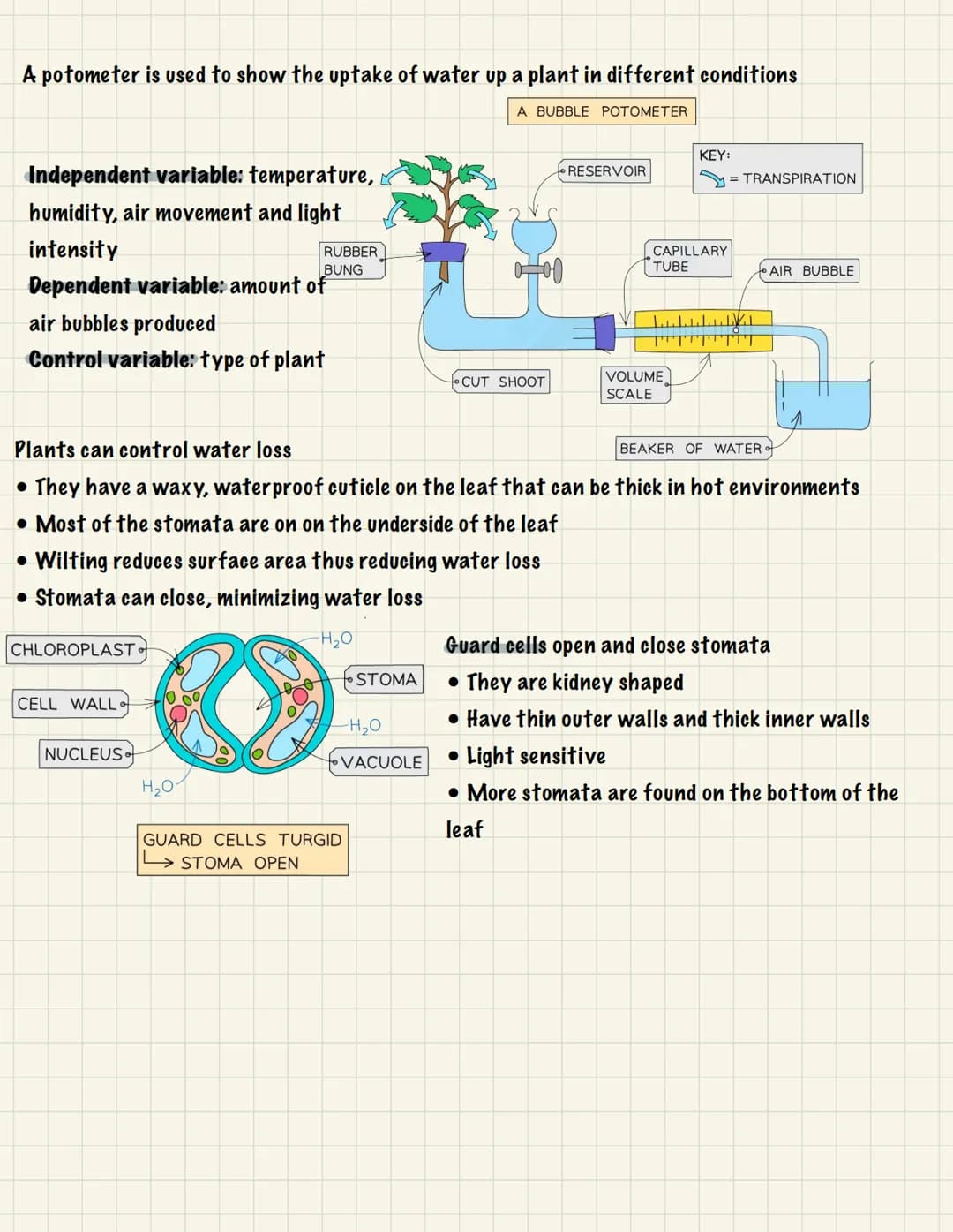 Biology Unit 1 Summary Notes (Biology) - Knowunity