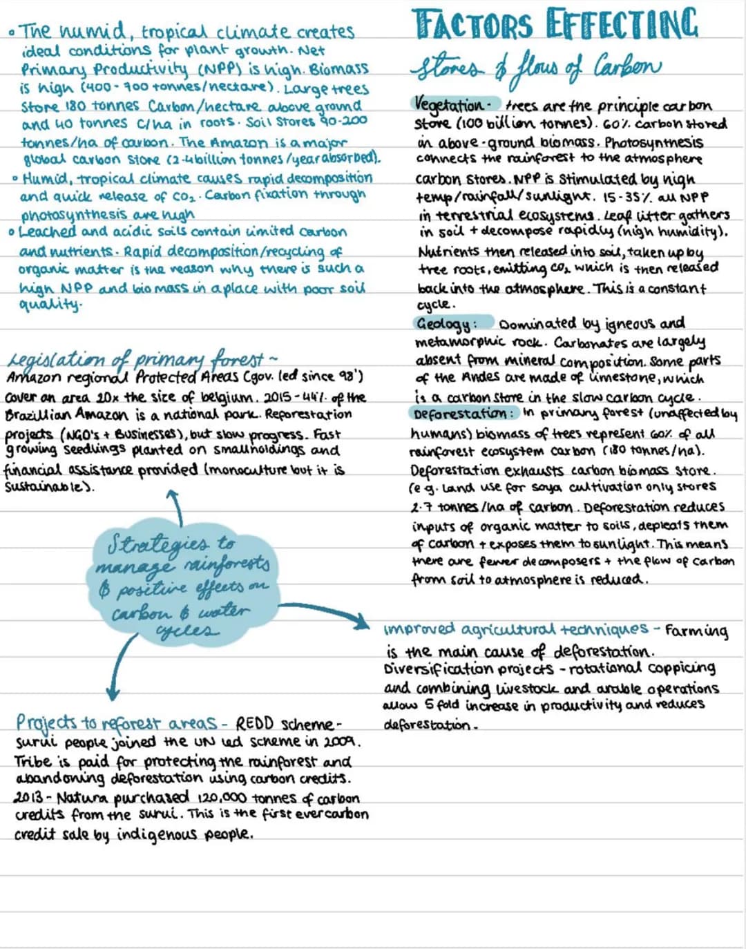 Simply explained: The Amazon Rainforest: Water and Carbon Cycle in ...