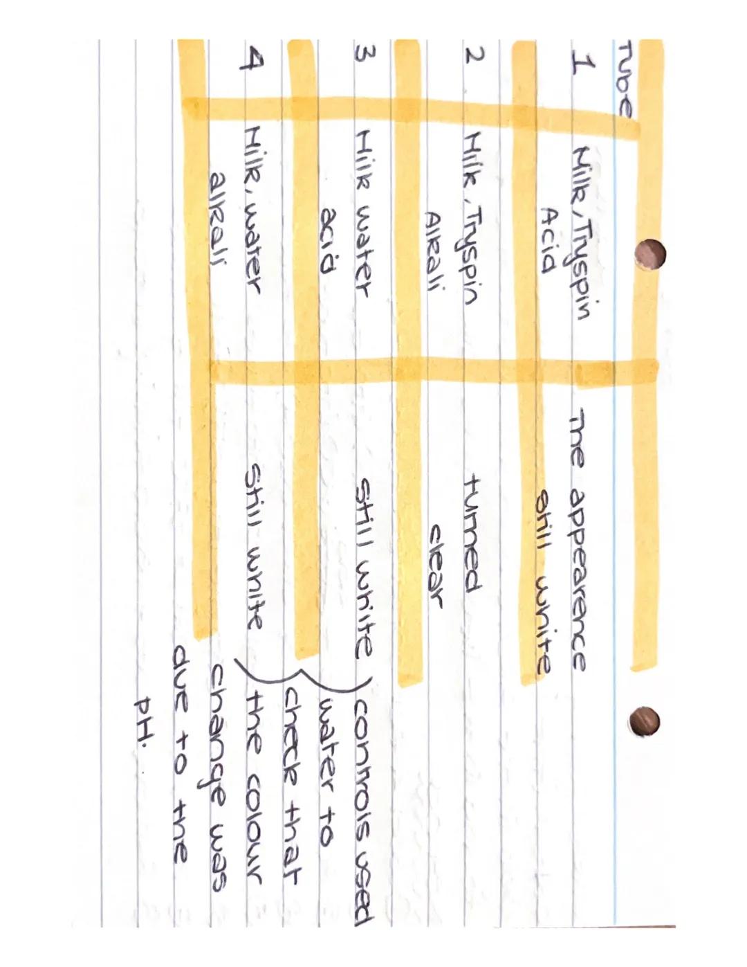 Understanding the Effect of pH and Temperature on Enzyme Activity ...