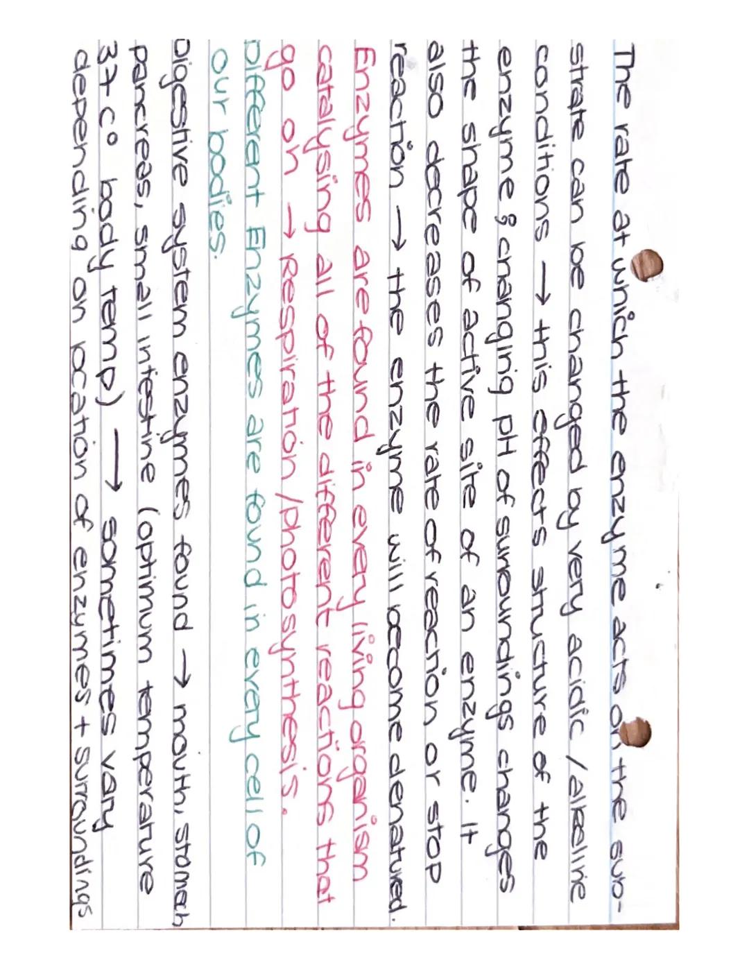 Understanding the Effect of pH and Temperature on Enzyme Activity ...