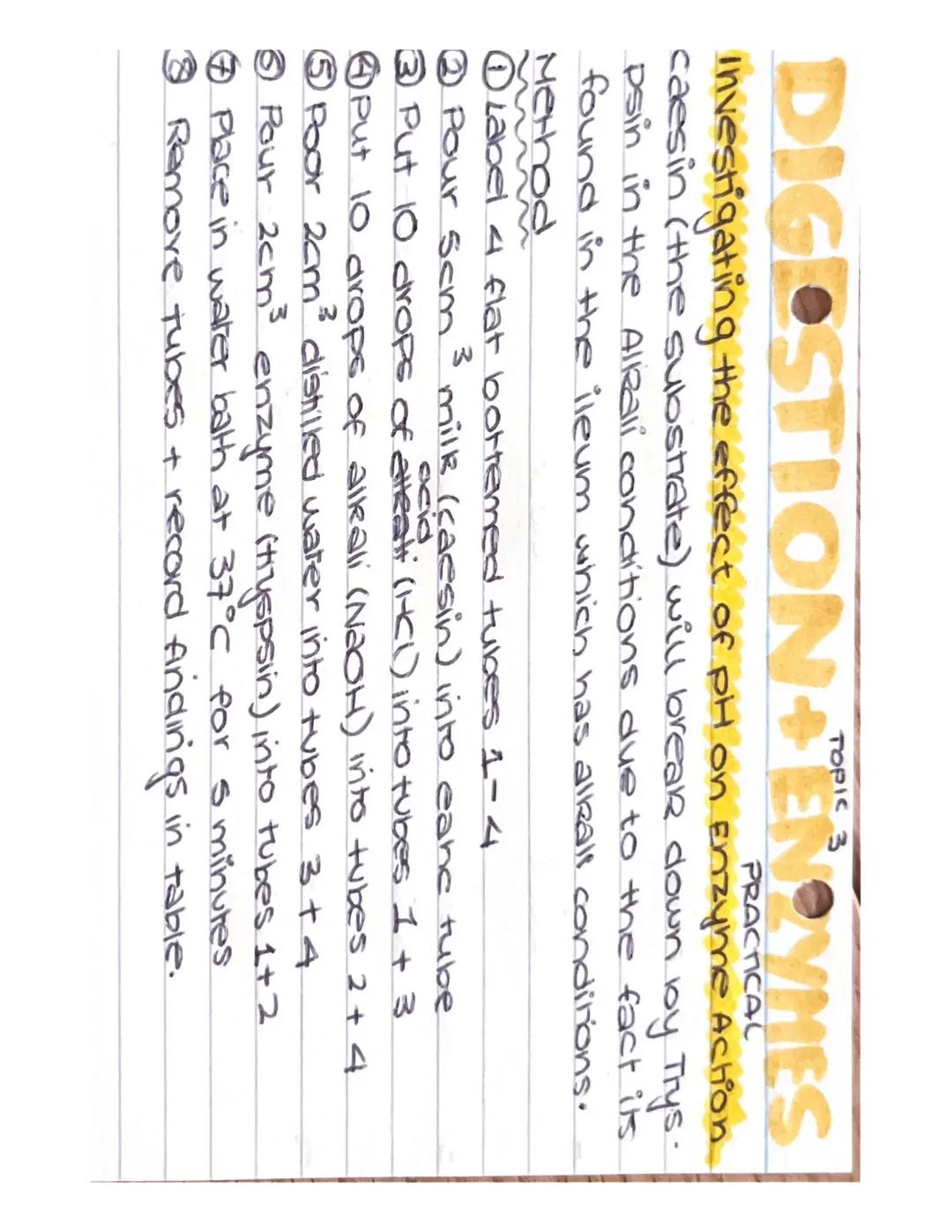 Understanding the Effect of pH and Temperature on Enzyme Activity ...