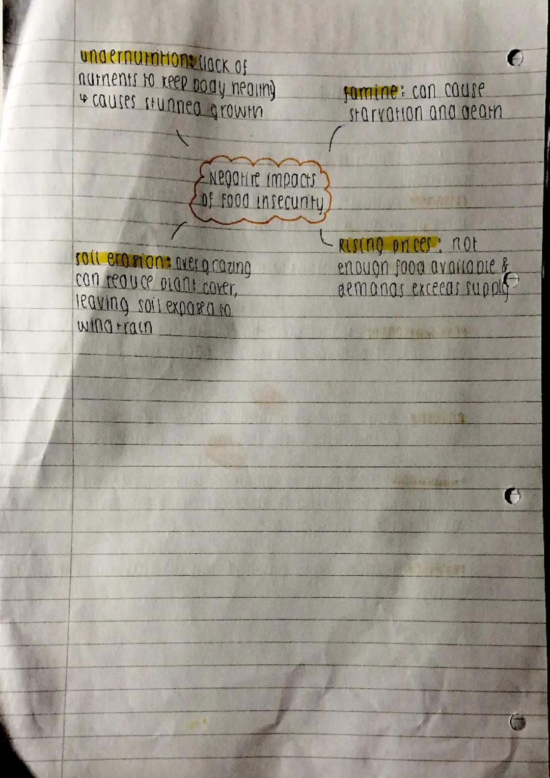 Simply explained: Food insecurity - GCSE Geography (Biology) - Knowunity