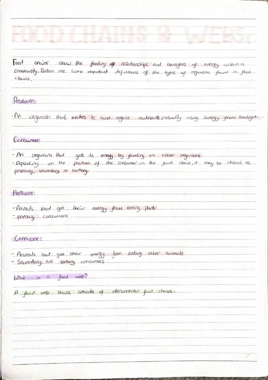 Understanding Food Chains and Webs (Biology) - Knowunity