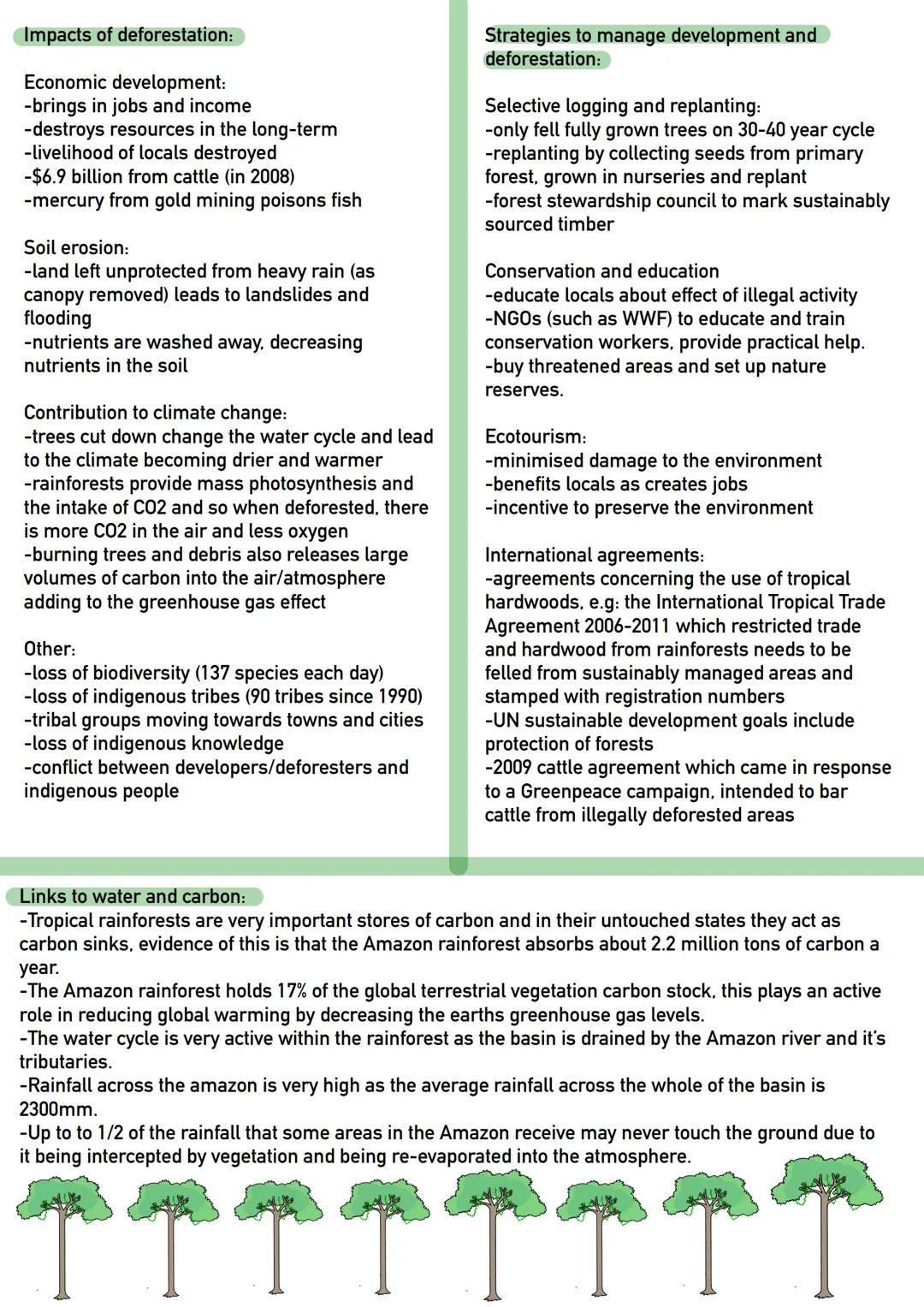 Amazon Rainforest Case Study: PDF, Answers, and Notes | GCSE & A Level ...