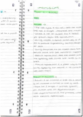 Stages of Mitosis for AQA A Level & GCSE Biology: Easy Guide (Biology ...