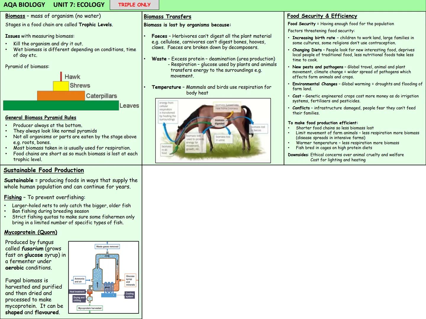 Simply explained: GCSE Biology Knowledge Organiser (Biology) - Knowunity
