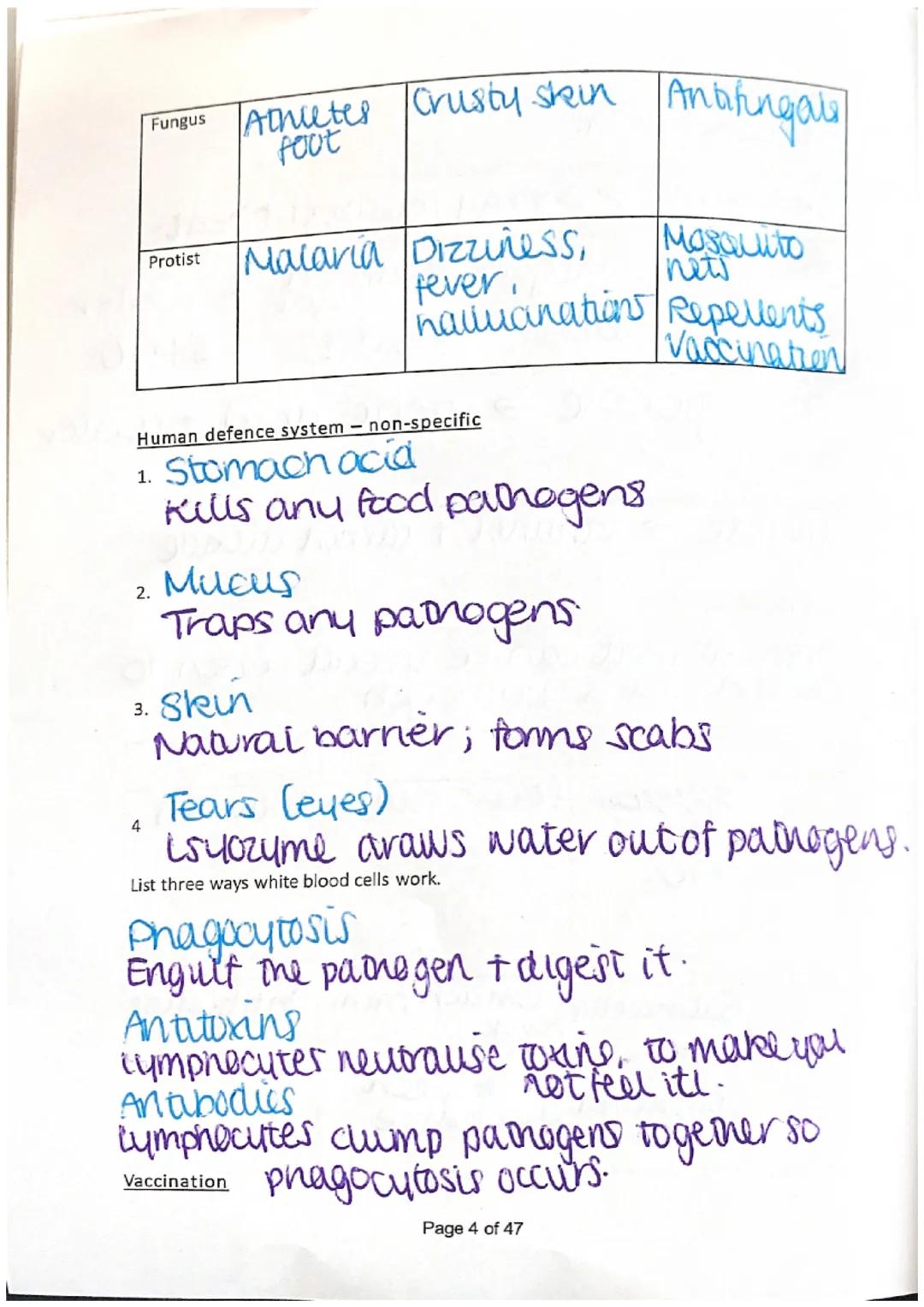 Simply explained: Combined Science: Biology Paper 1 (Revision Notes ...