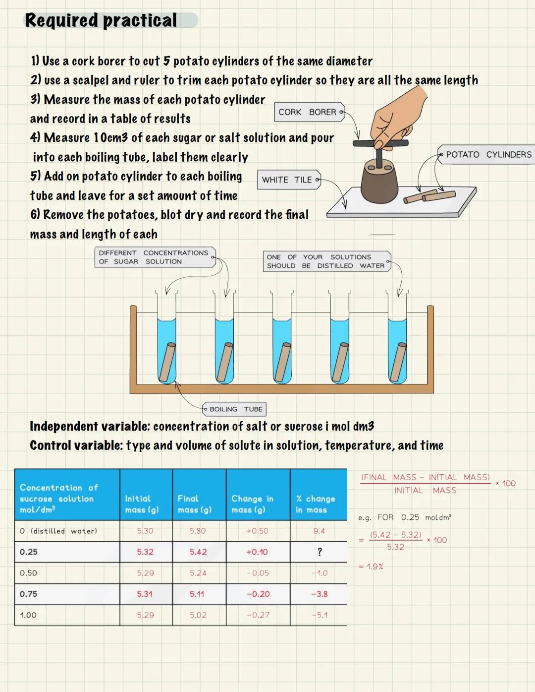 Simply explained: GCSE Biology Paper 1: All Required Practicals & Tips ...