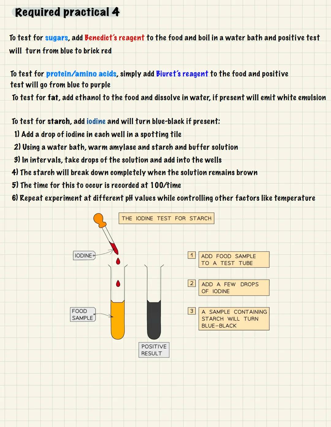 Simply explained: GCSE Biology Paper 1: All Required Practicals & Tips ...