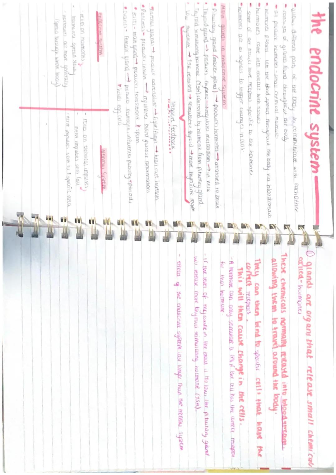 Simply explained: Mrs Birling Character Analysis: Quotes and What She ...