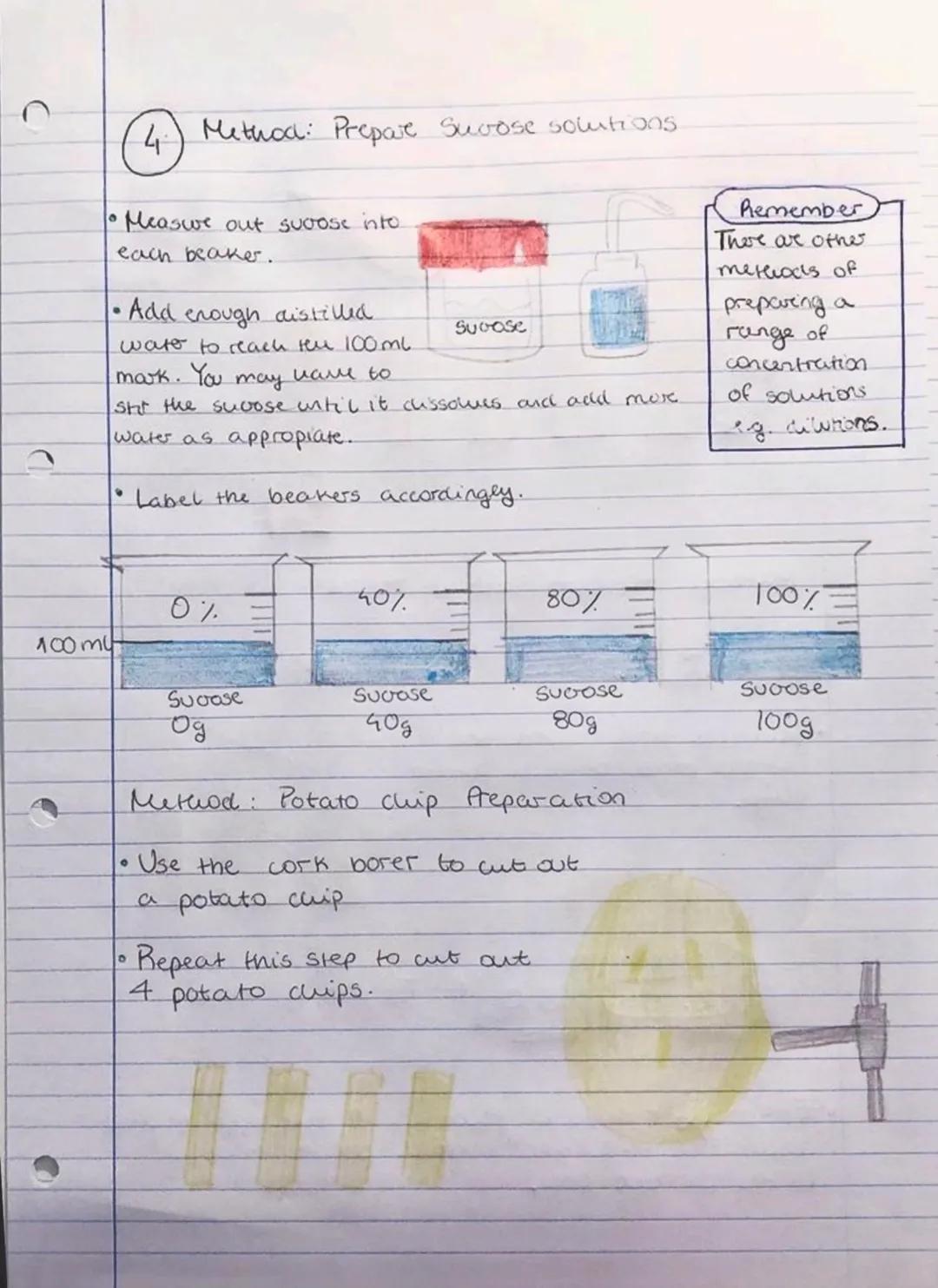Easy Potato Osmosis Experiment: Practical Steps and Observations ...
