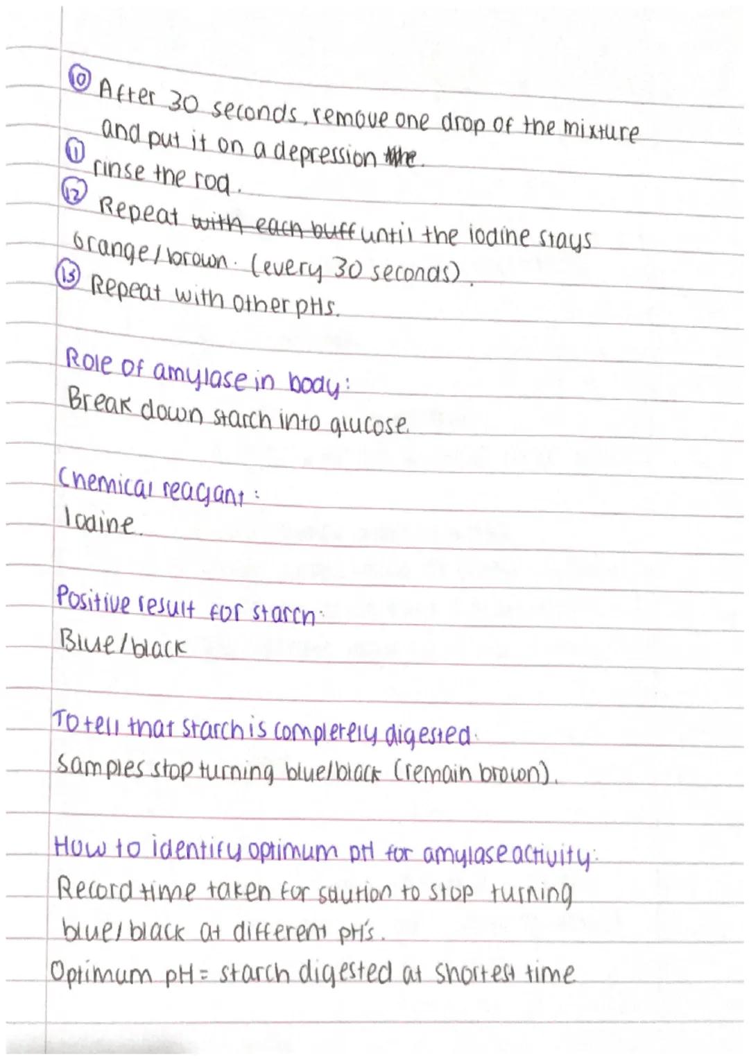 Simply explained: Effect of pH on Amylase Activity Lab Report PDF ...