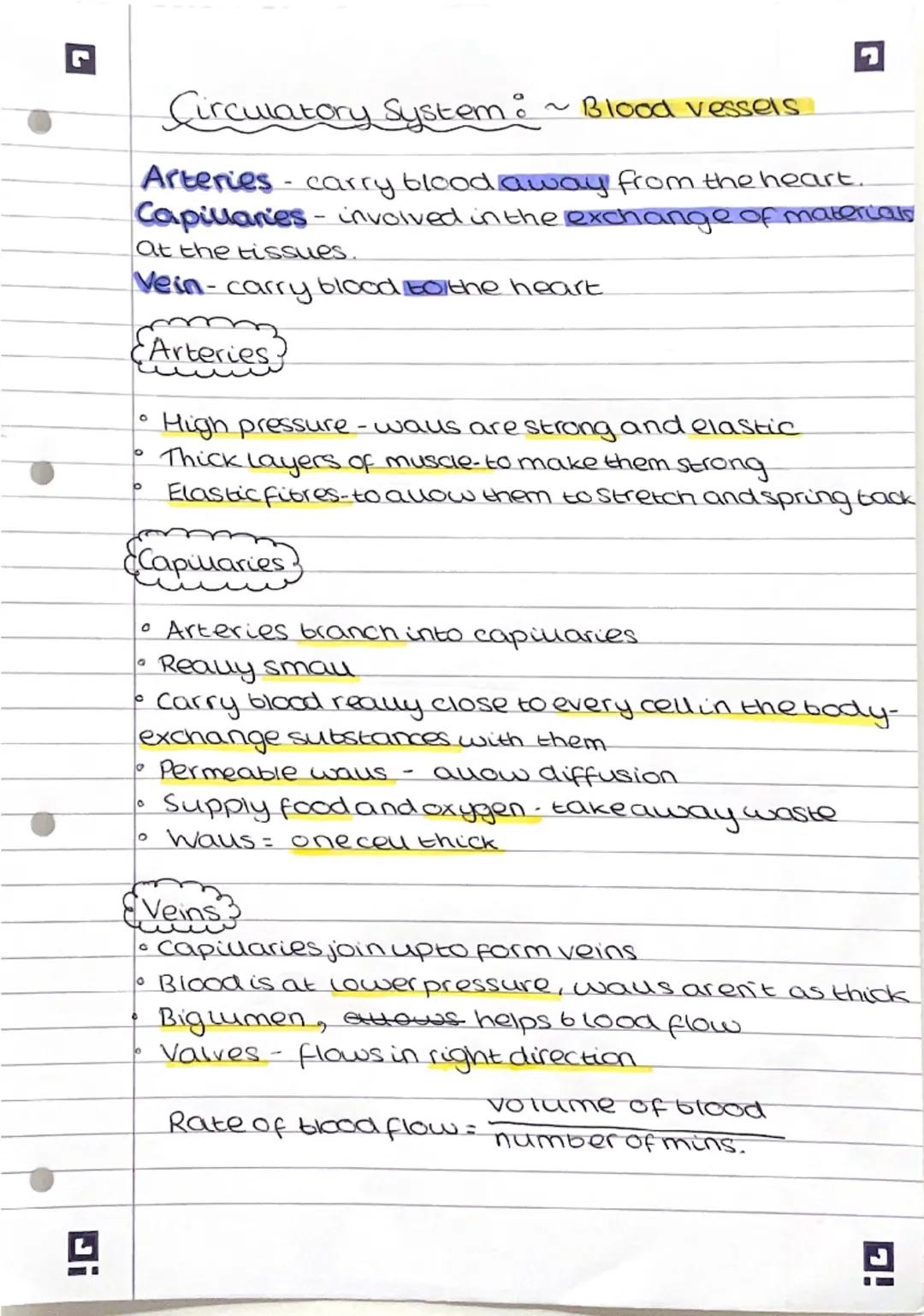 Simply explained: Understanding the Circulatory System: Blood and Blood ...