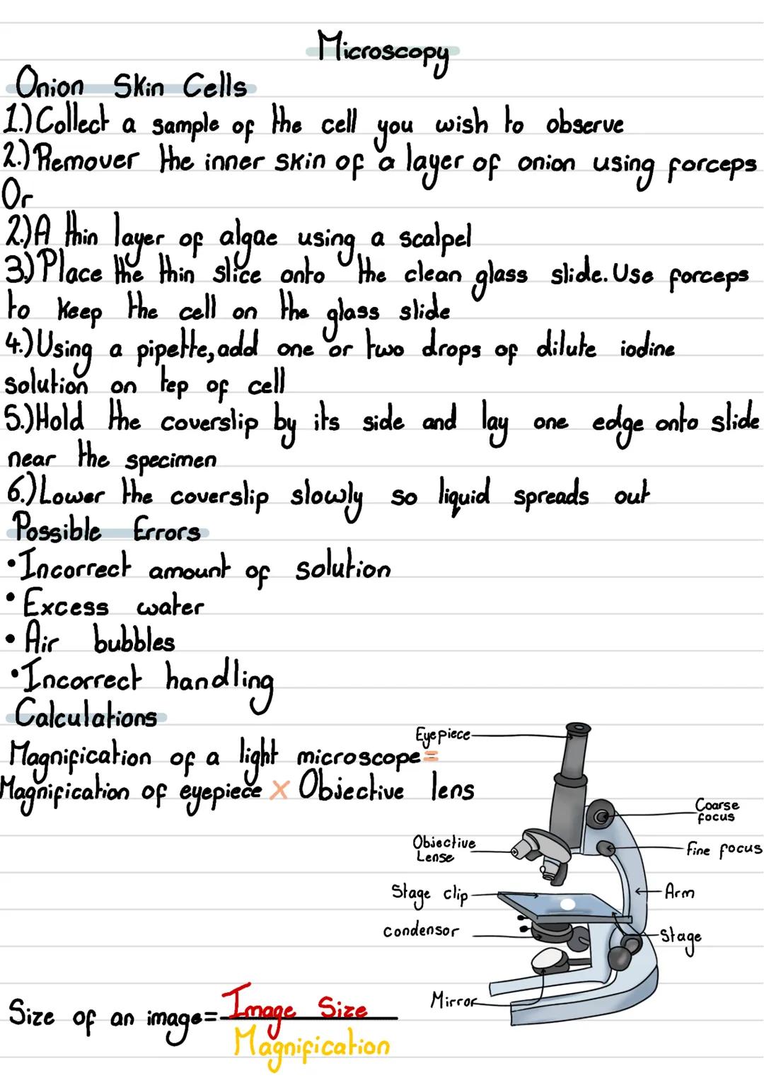 Biology Paper 1: Required Practicals with Answers (Biology) as PDF ...