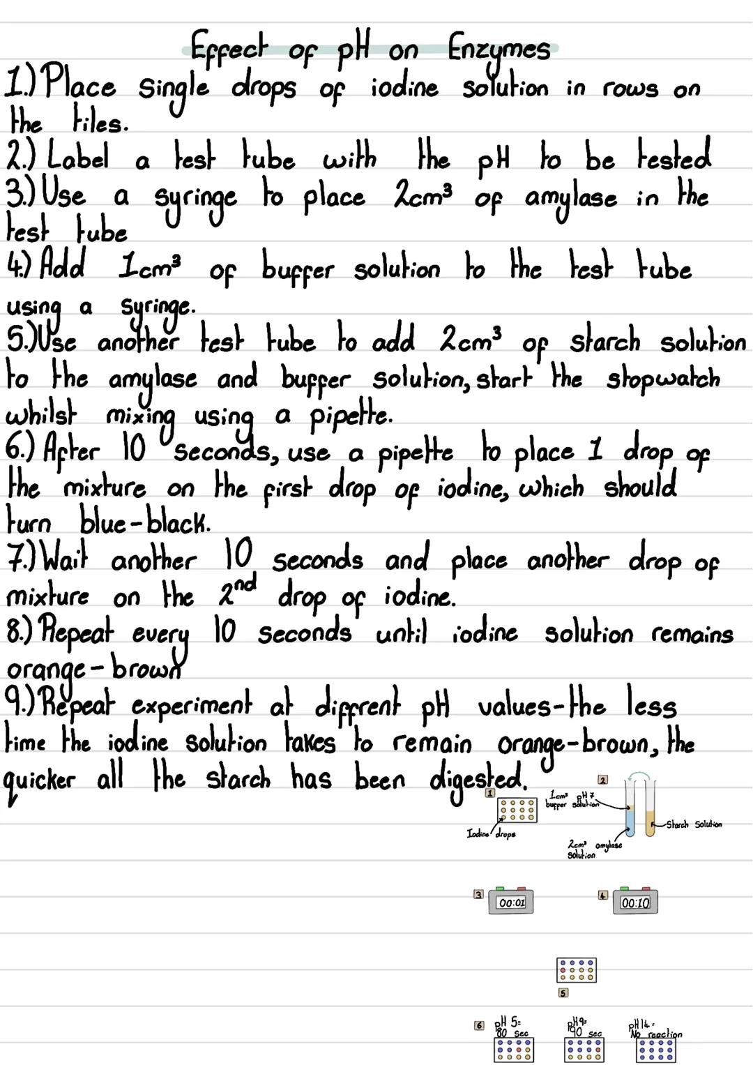 Biology Paper 1: Required Practicals with Answers (Biology) as PDF ...