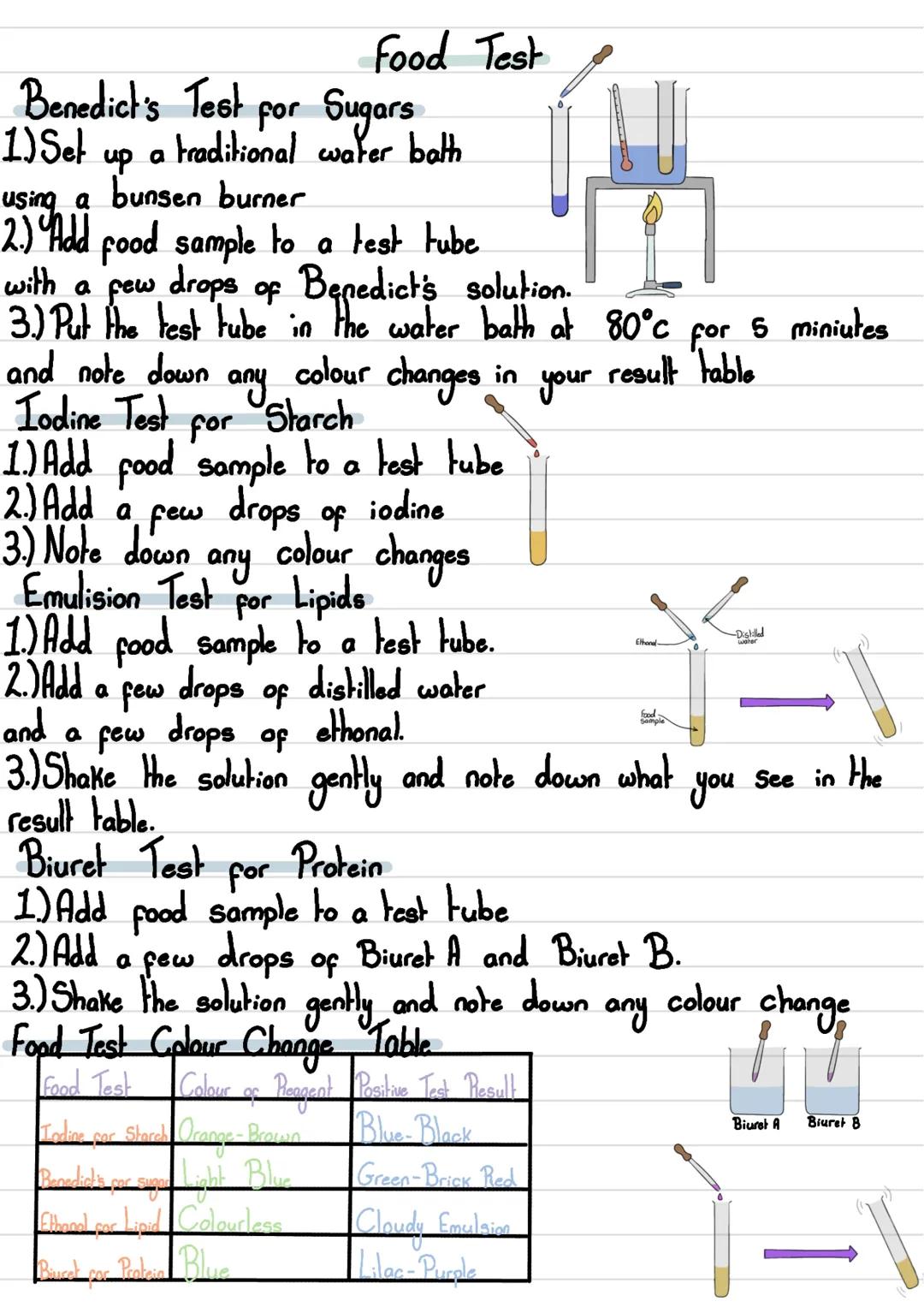 Biology Paper 1: Required Practicals with Answers (Biology) as PDF ...