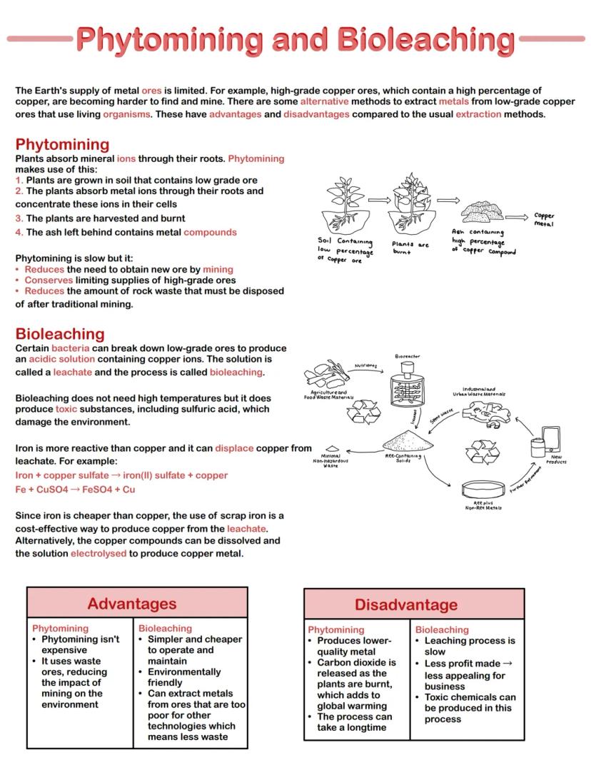Simply explained: Understanding Phytomining and Bioleaching: Advantages ...