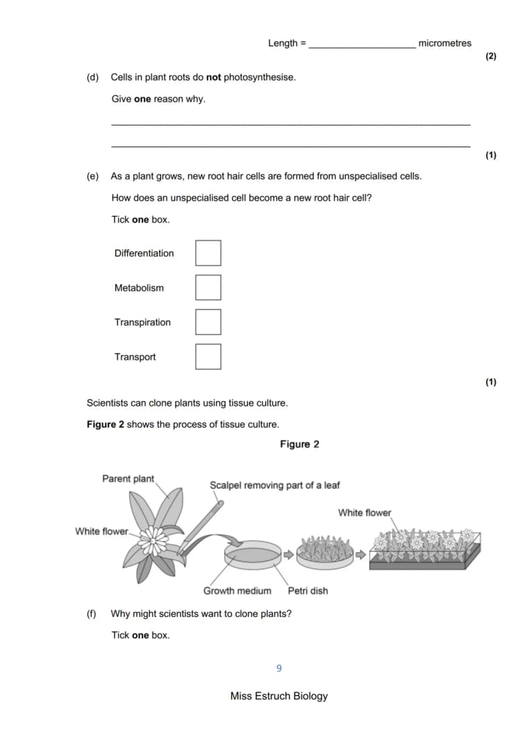Cell Specialization Worksheet GCSE Biology Paper 1 Higher Tier Exam
