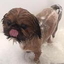 Dr Lanyon Character Analysis and Quotes - Jekyll and Hyde Essay & PDF ...