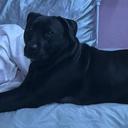 How to Answer RUAE Questions Effectively | Tips for Nat 5 & Higher ...