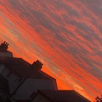 HSC Unit 1: Nature vs Nurture Theories Explained with Examples (Health ...