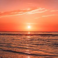 Simply explained: Valentine by Carol Ann Duffy - Poem Analysis, Theme ...