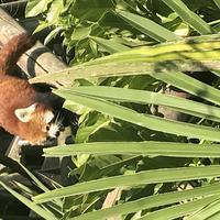 Simply explained: Macbeth Character Analysis: Banquo's Role and Quotes ...