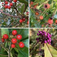 Year 10 Physics Mind Map: GCSE Summary Notes and Revision PDF (Physics ...