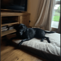 Understanding Functionalism and Marxist Feminism in Sociology: A ...