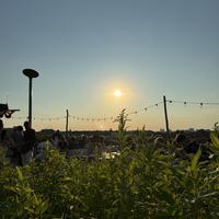 Tissue Poem PDF: Analysis, Quotes, and Themes by Imtiaz Dharker ...