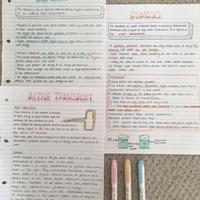 Your Ultimate OCR GCSE Child Development Revision Guide! (Health ...