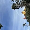 Malaysia Rainforest Case Study: Deforestation Impact and Biodiversity ...