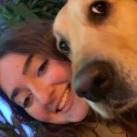 Simply explained: Holderness Coast: A-Level Geography Case Study ...