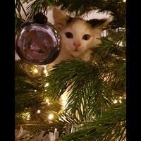 Simply explained: How to Calculate Error Intervals with Examples - Fun ...