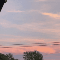 Cool Cell Structures: BBC Bitesize KS3 & Nat 5 Biology Fun! (Biology ...