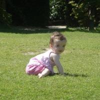 Simply explained: Understanding Phytomining and Bioleaching: Advantages ...