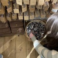 Exposure Poem: Key Quotes, Analysis & PDF | Wilfred Owen GCSE (English ...