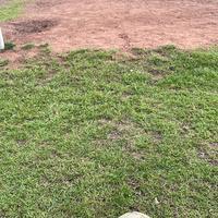 Simply explained: Exposure Poem by Wilfred Owen: Themes, Quotes, and ...