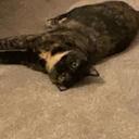 Understanding the Role of Lay Magistrates in the UK (Law) as PDF ...