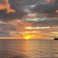 Remains Poem Analysis for Kids - Simon Armitage (English Literature) as ...