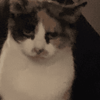 Simply explained: GCSE AQA Design Technology Revision Guide: Technical ...