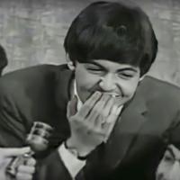 How Insects Breathe: The Tracheal System and Its Cool Adaptations ...